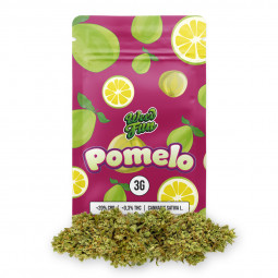 CBD - Naturalne produkty z Konopi | sensihemp.pl | olej konopny, olej ...